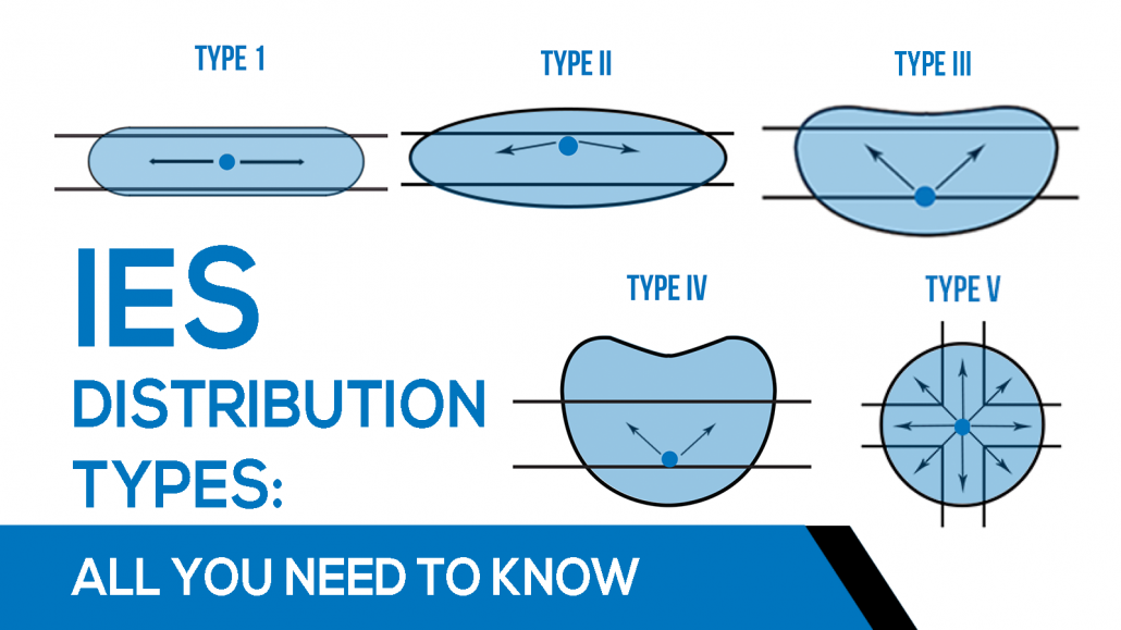 Distribution Types at Robin Alexander blog Distribution Types at Robin Alexander blog